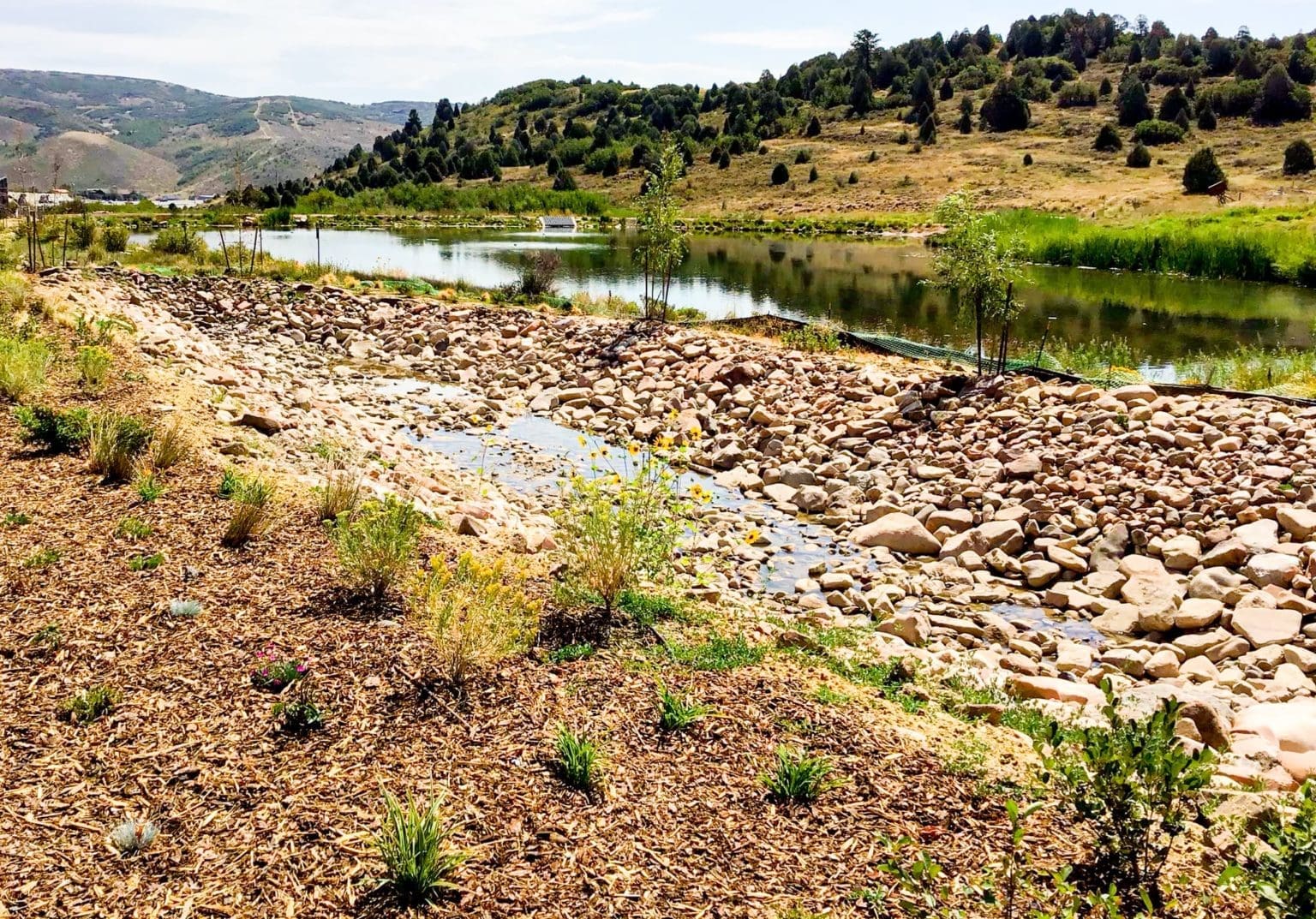 Erosion & Sediment Control Solutions | Erosion Control Services